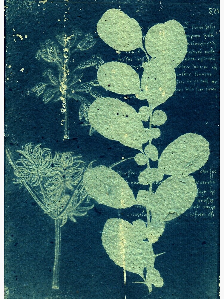 "Botanical blue green floral Cyanotype print 27" Canvas Print by ...