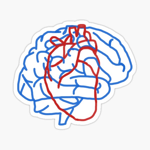 "Heart & Brain" Sticker for Sale by VeraKooy | Redbubble