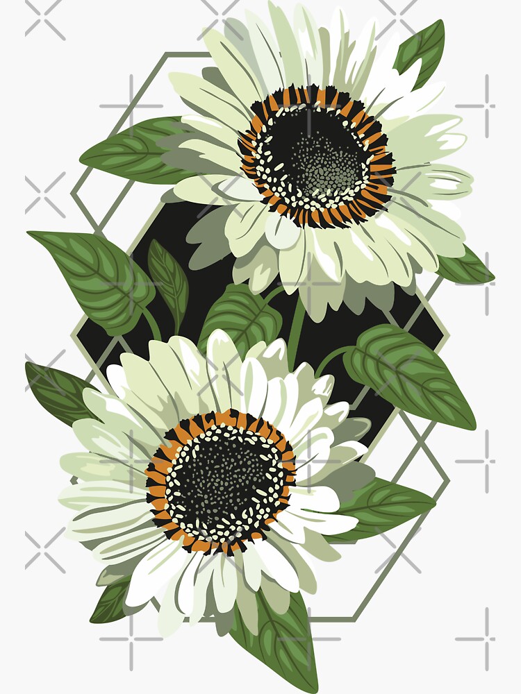 "Venidium Zulu Warrior Flowers (White Monarch of The Veldt)" Sticker by ...