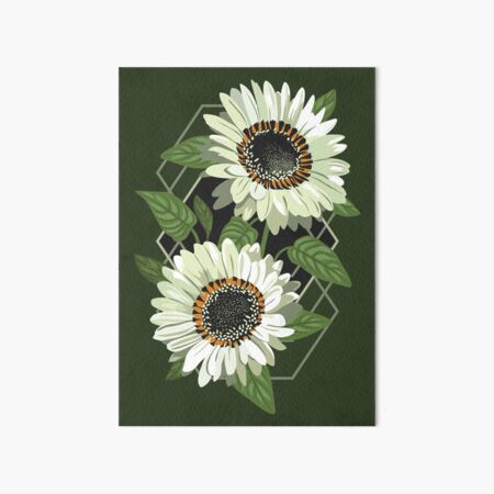 "Venidium Zulu Warrior Flowers (White Monarch of The Veldt)" Art Board ...