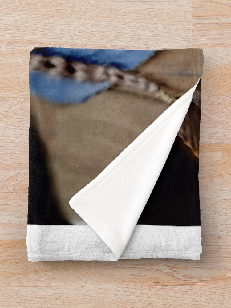 " ein Lakota Sioux Indianer, der mit Buffalo Bills Wildem Westen in New ...