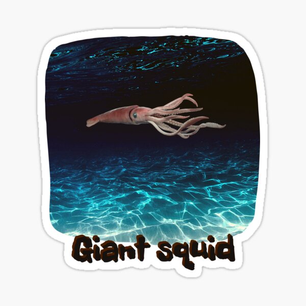 "Giant Squid Calamari" Sticker for Sale by whaleharmony | Redbubble