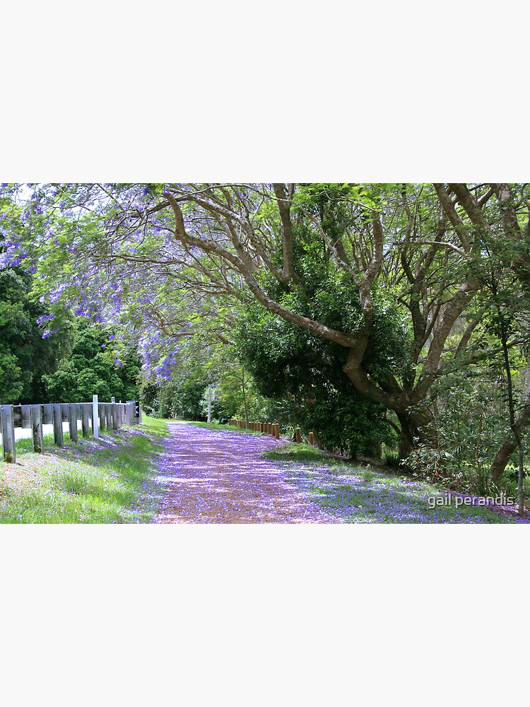 "jacaranda walk ..mt.tamborine " Poster for Sale by gail perandis ...