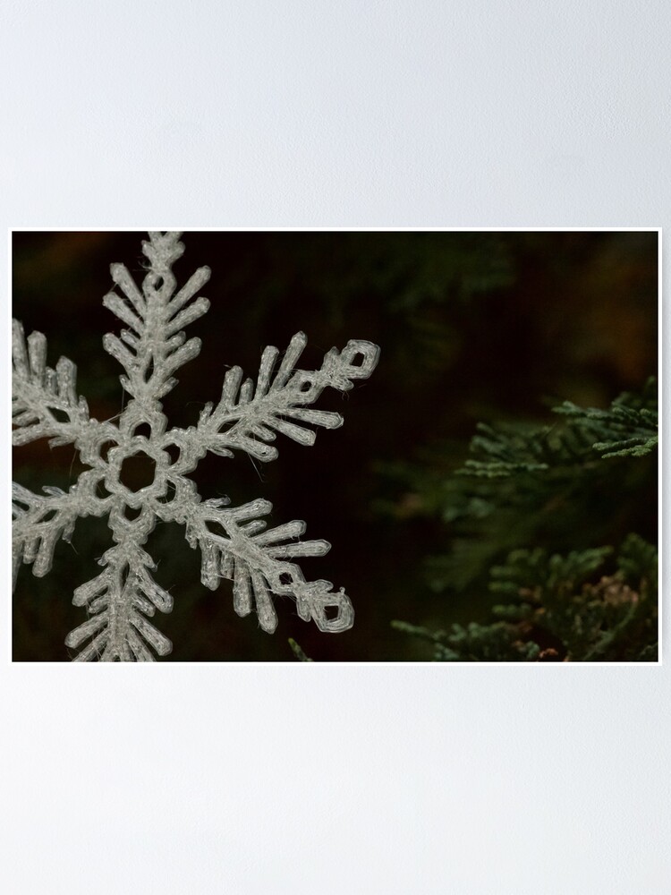 "Snowflake " Poster for Sale by WhitingProjects | Redbubble