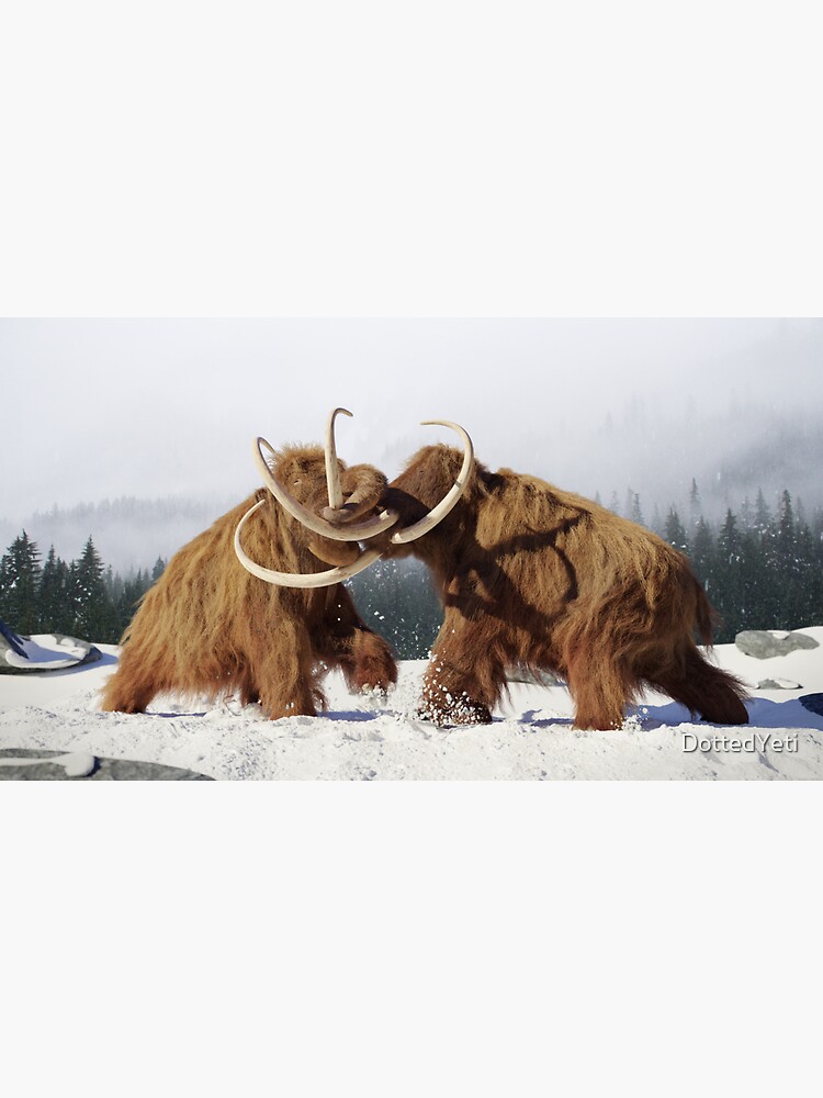 "woolly mammoth bulls fighting, prehistoric ice age mammals in snow ...