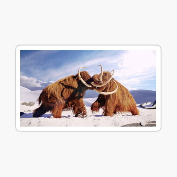 "woolly mammoth bulls fighting, prehistoric ice age mammals in snow ...