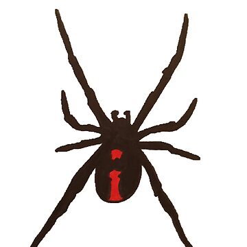 "Redback Spider drawing" Sticker for Sale by swaguire | Redbubble