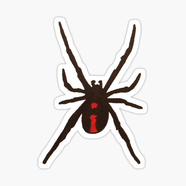"Redback Spider drawing" Sticker for Sale by swaguire | Redbubble