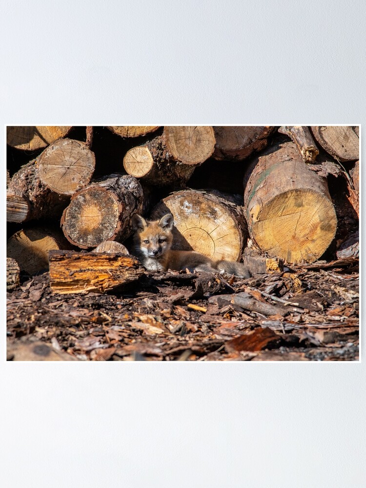 "Logging In " Poster by KennyBImages899 | Redbubble