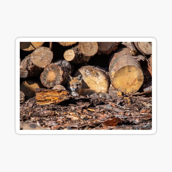 "Logging In " Sticker by KennyBImages899 | Redbubble