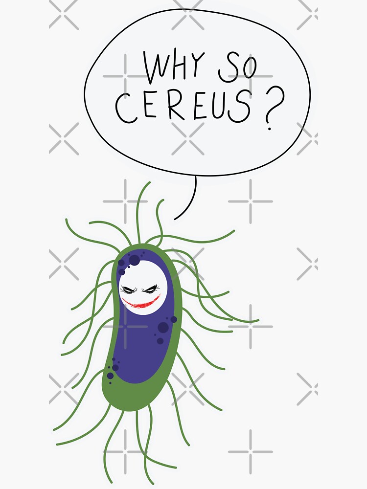 "Microbes puns ft. Bacillus cereus" Sticker for Sale by yselle | Redbubble