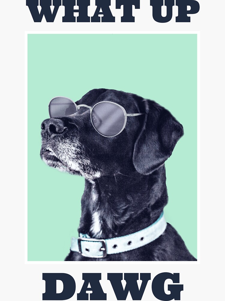 "What Up Dawg Dog With Sunglasses Design" Sticker by cido39 | Redbubble