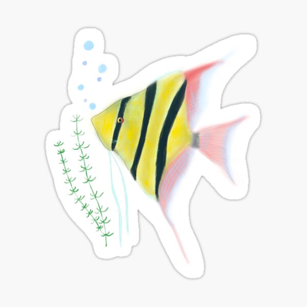 "Angelfish " Sticker by Marinaaa010 | Redbubble