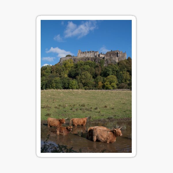 "Coo's Below the Castle" Sticker for Sale by ericsaid | Redbubble