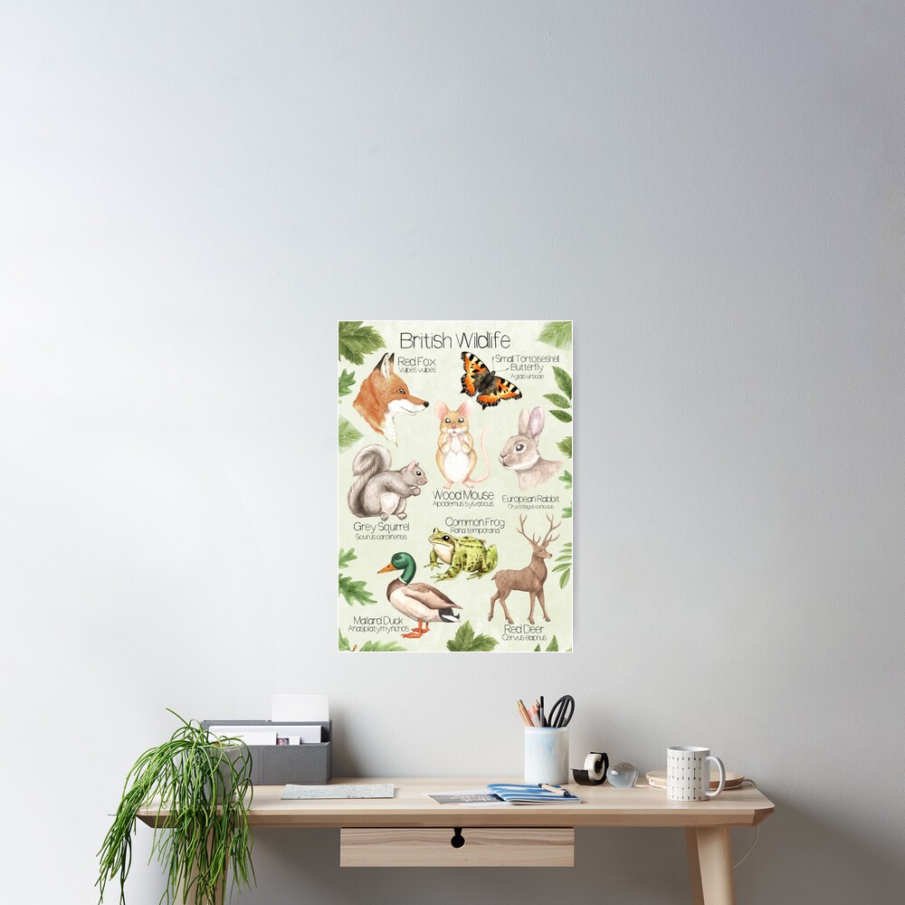 "British Wildlife" Poster for Sale by LCWaterworth | Redbubble