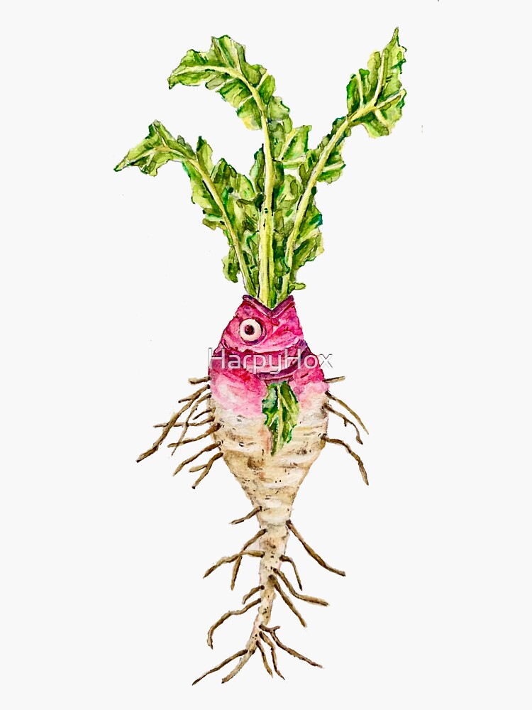 "Turnip Fish" Sticker by HarpyHox | Redbubble