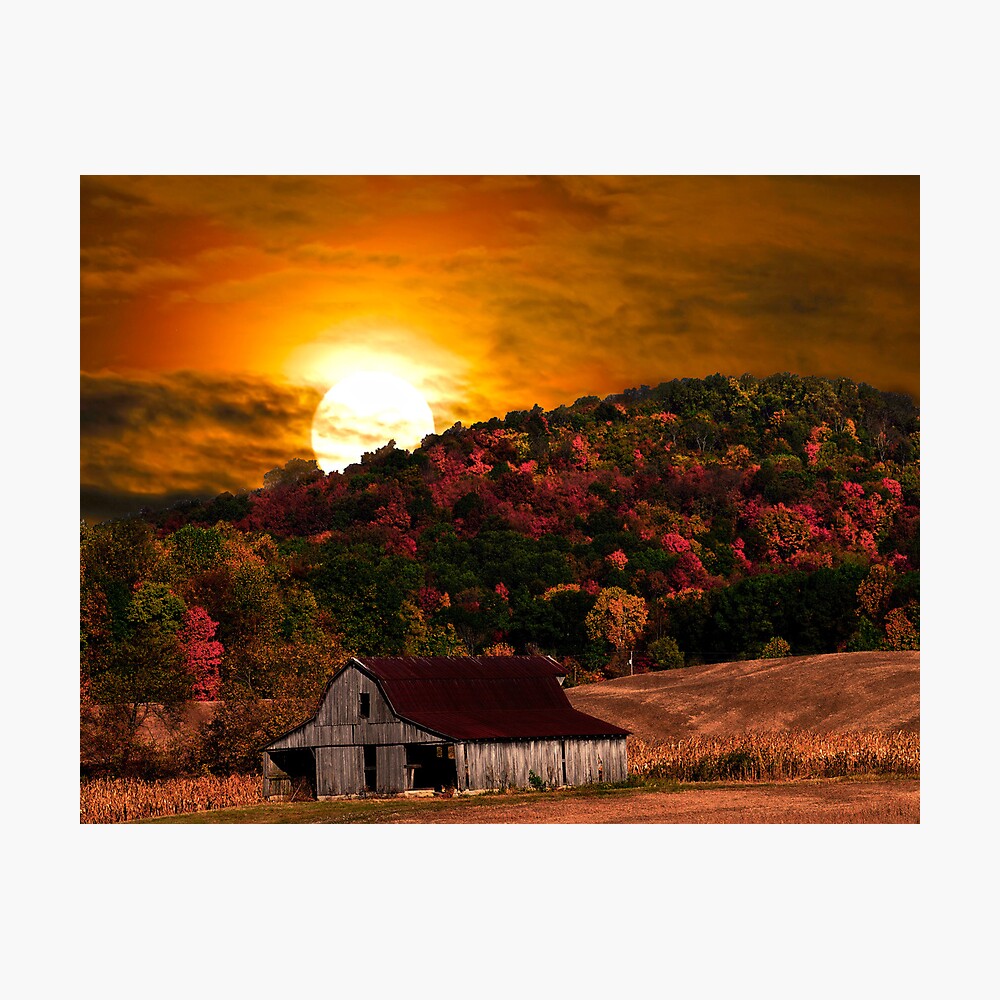 Randy Branham Shop | Redbubble