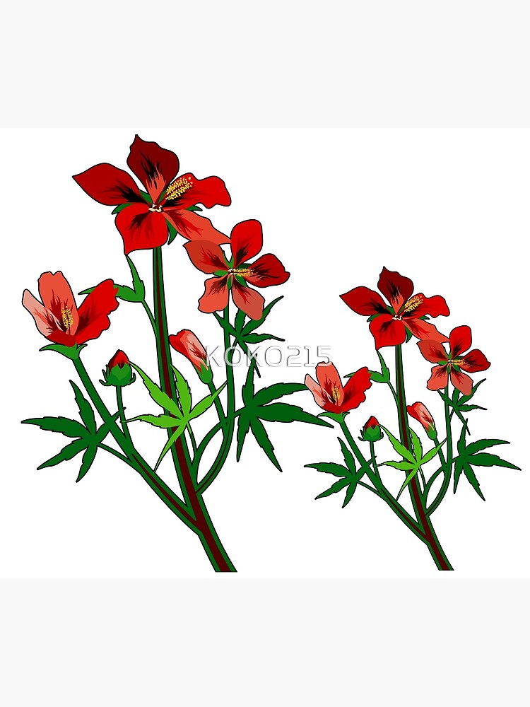 "Cherry Blossoms After Winter Red Cayenne Flowers." Photographic Print ...