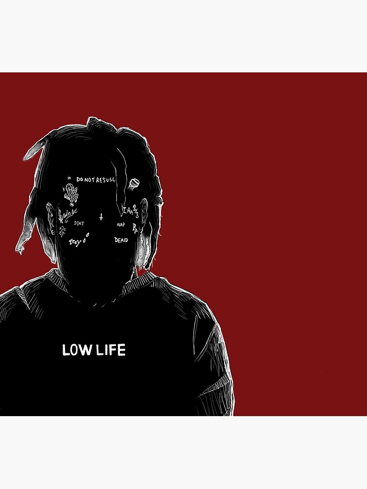 "slick sloth" iPhone Wallet for Sale by Trapfan | Redbubble