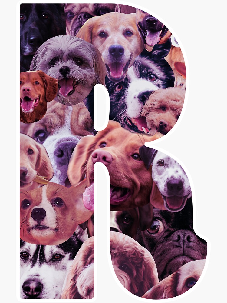 "Letter R - Adorable Dog Collage Monogram" Sticker for Sale by dylanxh ...