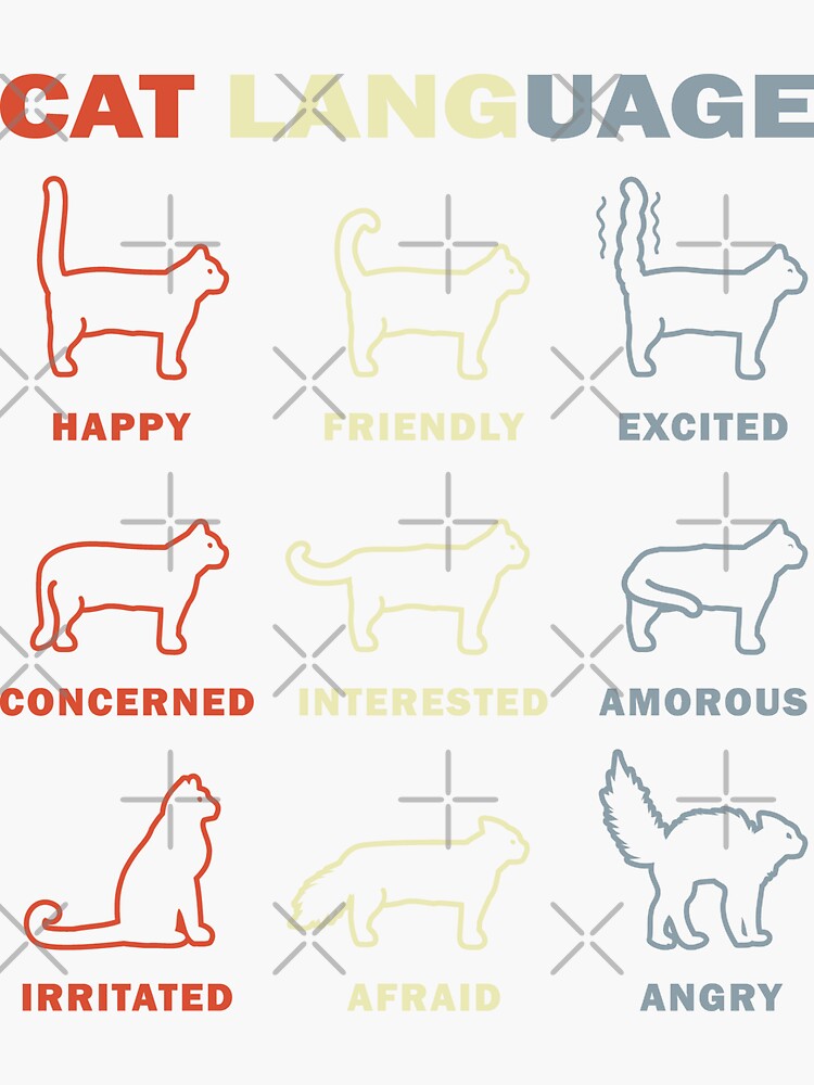 "Cat Tail" Sticker for Sale by Merchment | Redbubble