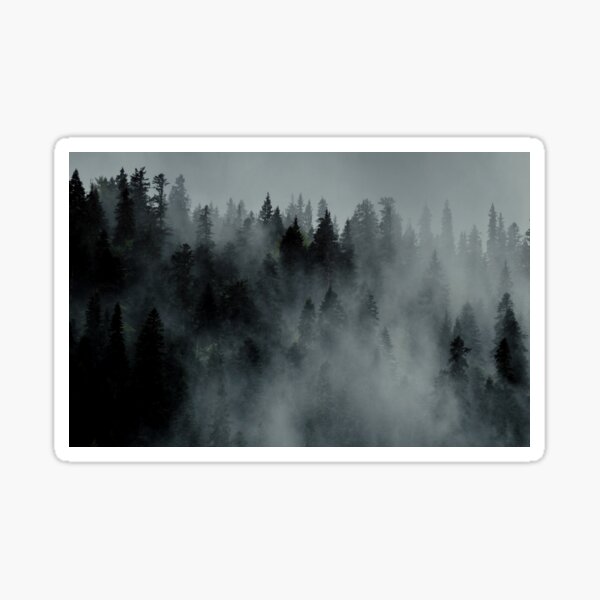 "Misty Forest" Sticker by SuperAceDesigns | Redbubble