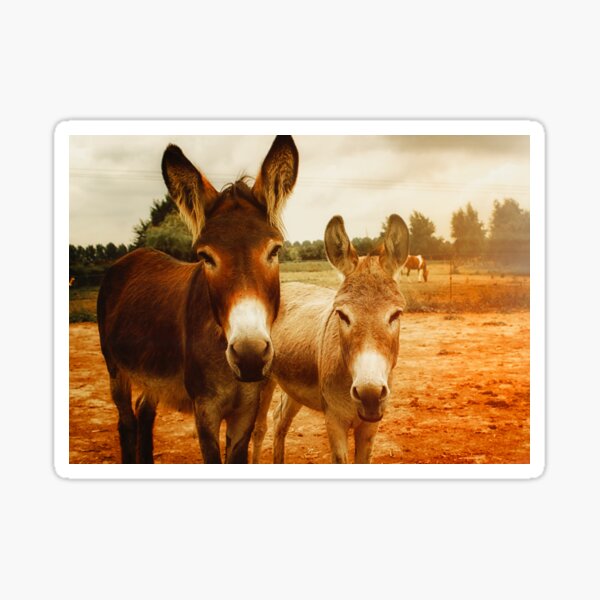 "Hi Guys" Sticker for Sale by MKdesignsforyou | Redbubble