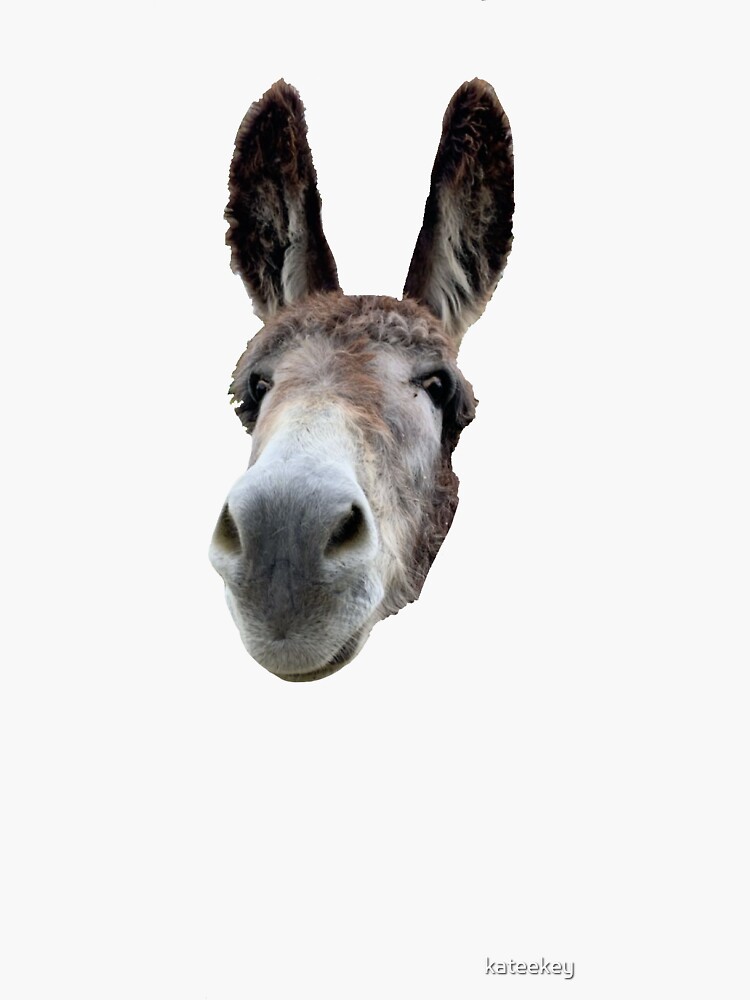 "donkey head" Sticker by kateekey | Redbubble