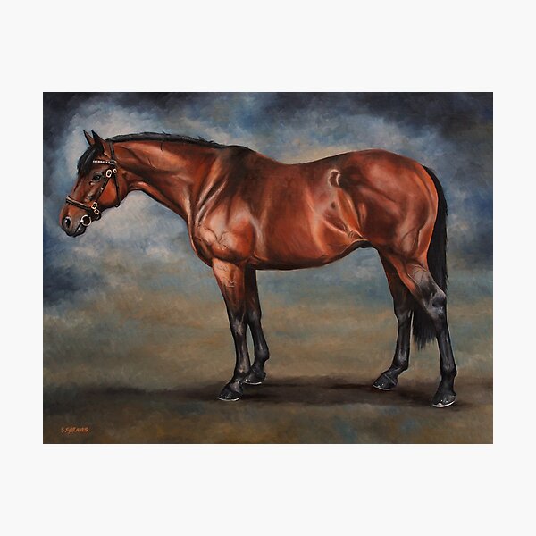 Godolphin Gifts & Merchandise for Sale | Redbubble