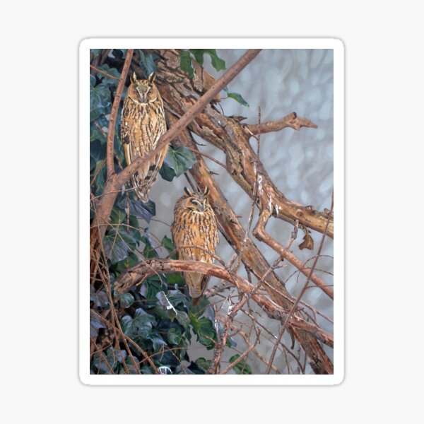 "Long-eared Owls" Sticker for Sale by kokayart | Redbubble