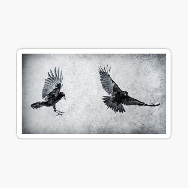 "Crow Flight" Sticker by SpikeFlutie | Redbubble