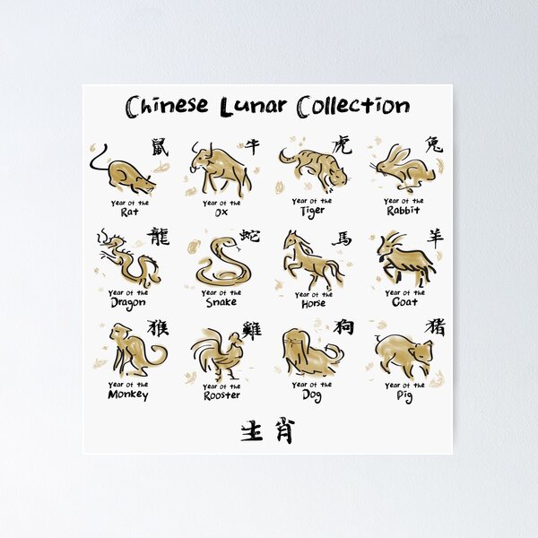 "Chinese 12 Lunar Calendar Animals" Poster for Sale by impetum | Redbubble