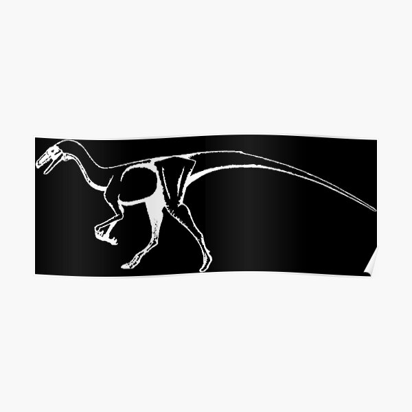 "Compsognathus dinosaur drawing" Poster by WilliamPaterson | Redbubble