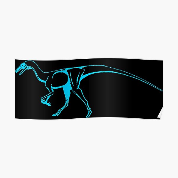 "Compsognathus dinosaur drawing" Poster by WilliamPaterson | Redbubble