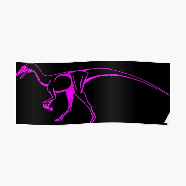 "Compsognathus dinosaur drawing" Poster for Sale by WilliamPaterson ...