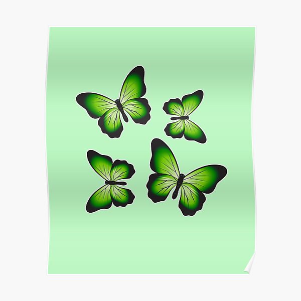 "Cute Green butterfly" Poster for Sale by redouanesolo | Redbubble