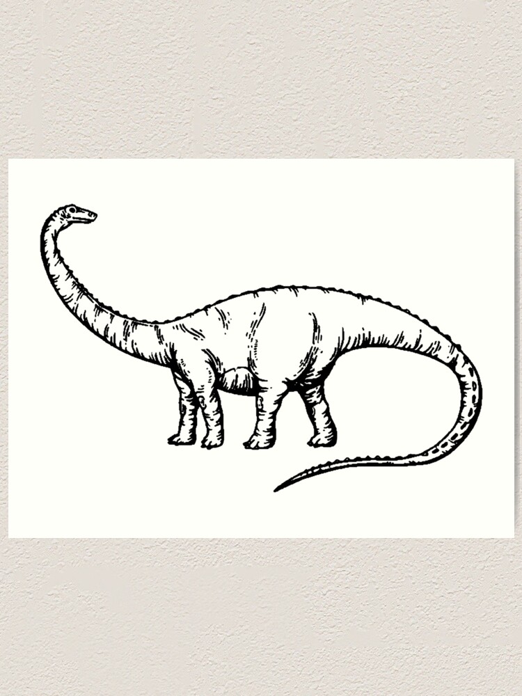 "Diplodocus dinosaur drawing" Art Print by WilliamPaterson | Redbubble