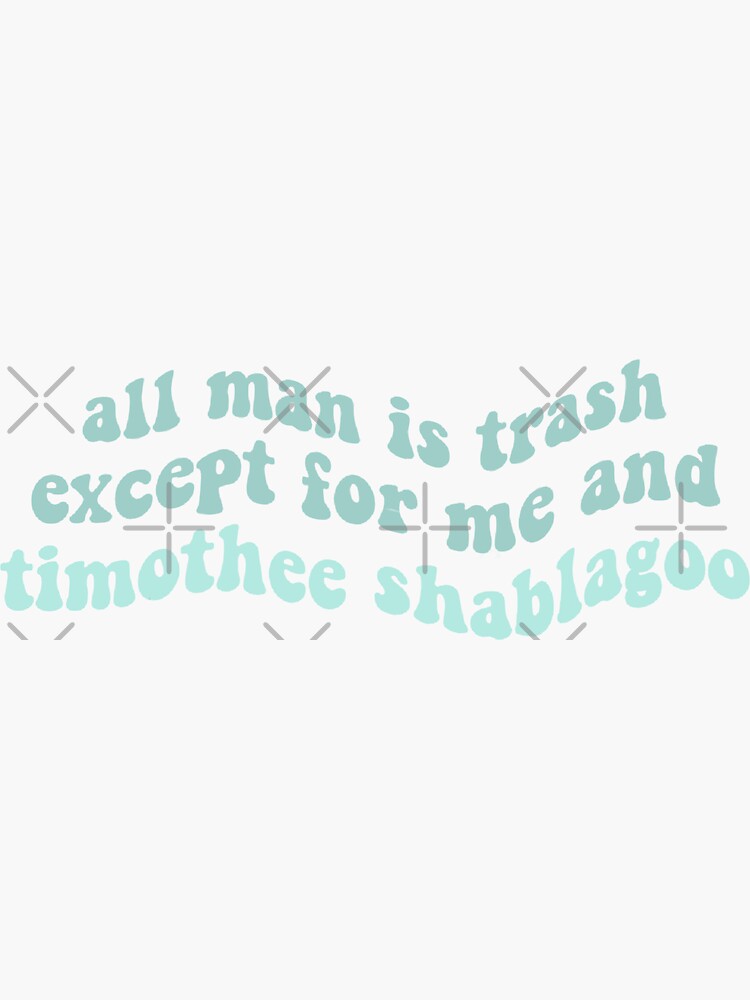"timothee shablagoo" Sticker for Sale by catcusdream | Redbubble