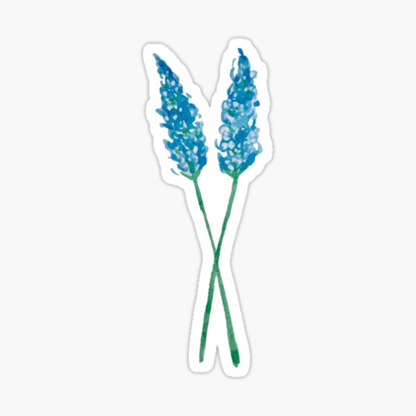 "Watercolor Blue Hyacinth" Sticker for Sale by KawaiiDesuCo | Redbubble
