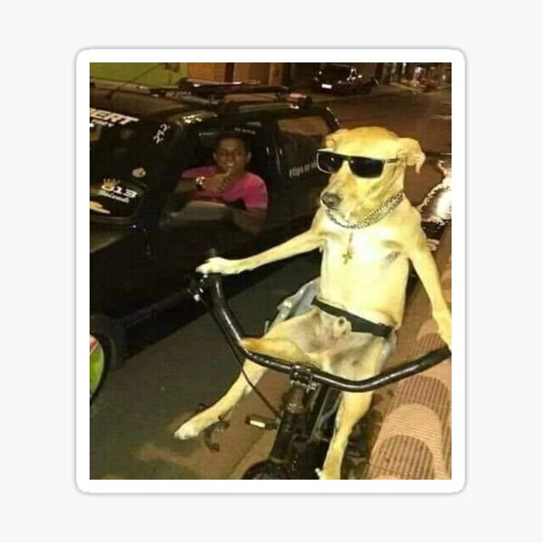 "Dog on a bike" Sticker for Sale by rharker09 | Redbubble