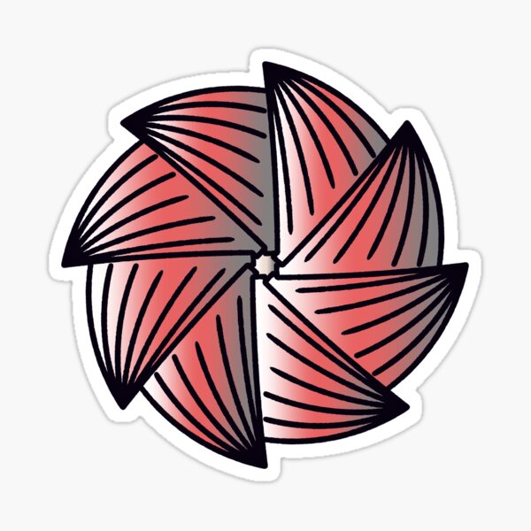 "Sharp Spin" Sticker for Sale by HumaBahalim | Redbubble