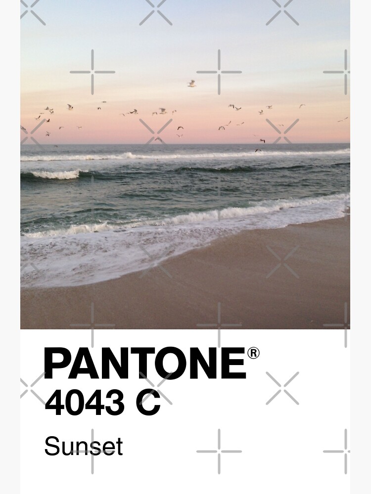 "Pantone Sunset" Sticker for Sale by beekindstudio | Redbubble