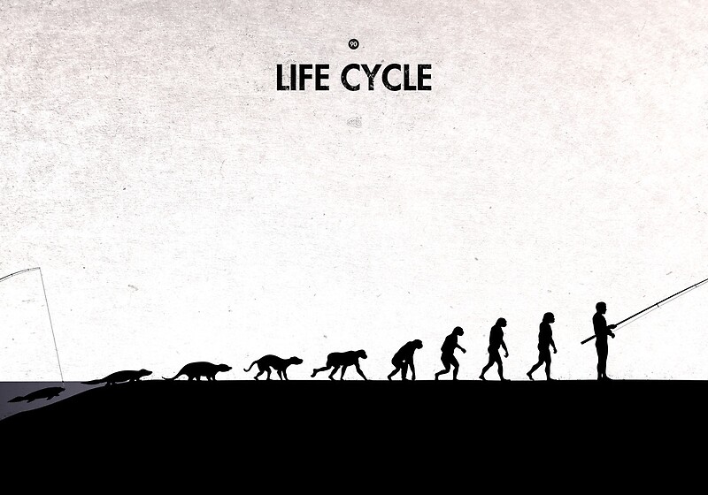 "99 Steps of Progress - Life cycle" by maentis | Redbubble