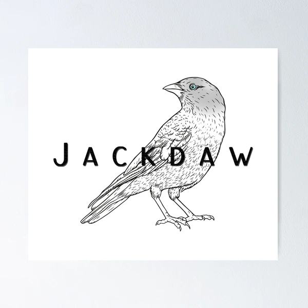 Jackdaw Logo