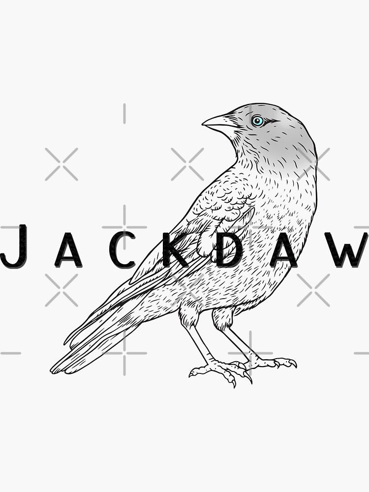 Jackdaw Logo