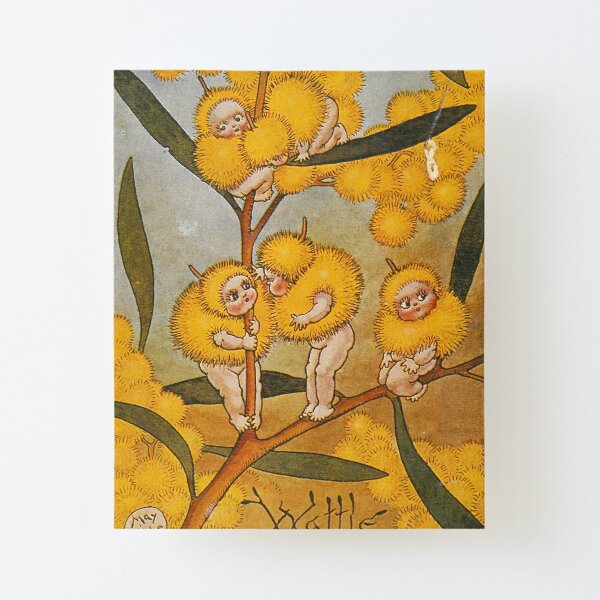 "Wattle Babies - May Gibbs Print " Mounted Print for Sale by Franklin ...