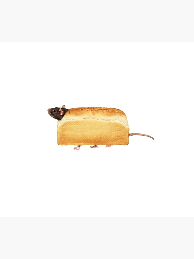 Póster «Meme Pan De Rata Meme» de RattyBread | Redbubble