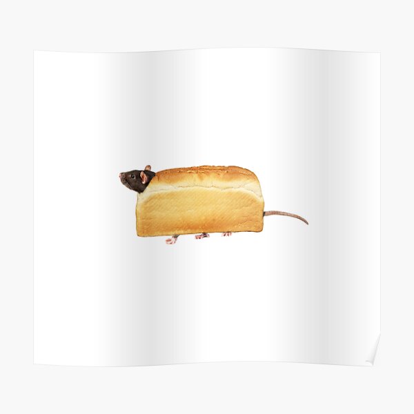 Póster «Meme Pan De Rata Meme» de RattyBread | Redbubble