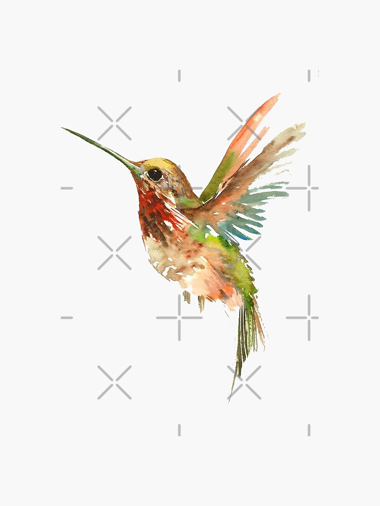 "Colibri" Sticker by SoleVita | Redbubble