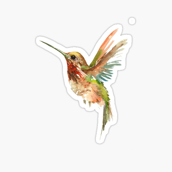"Colibri" Sticker by SoleVita | Redbubble